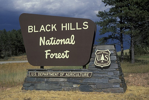 Black Hills National Forest seeking your input by July 9th. – Black ...