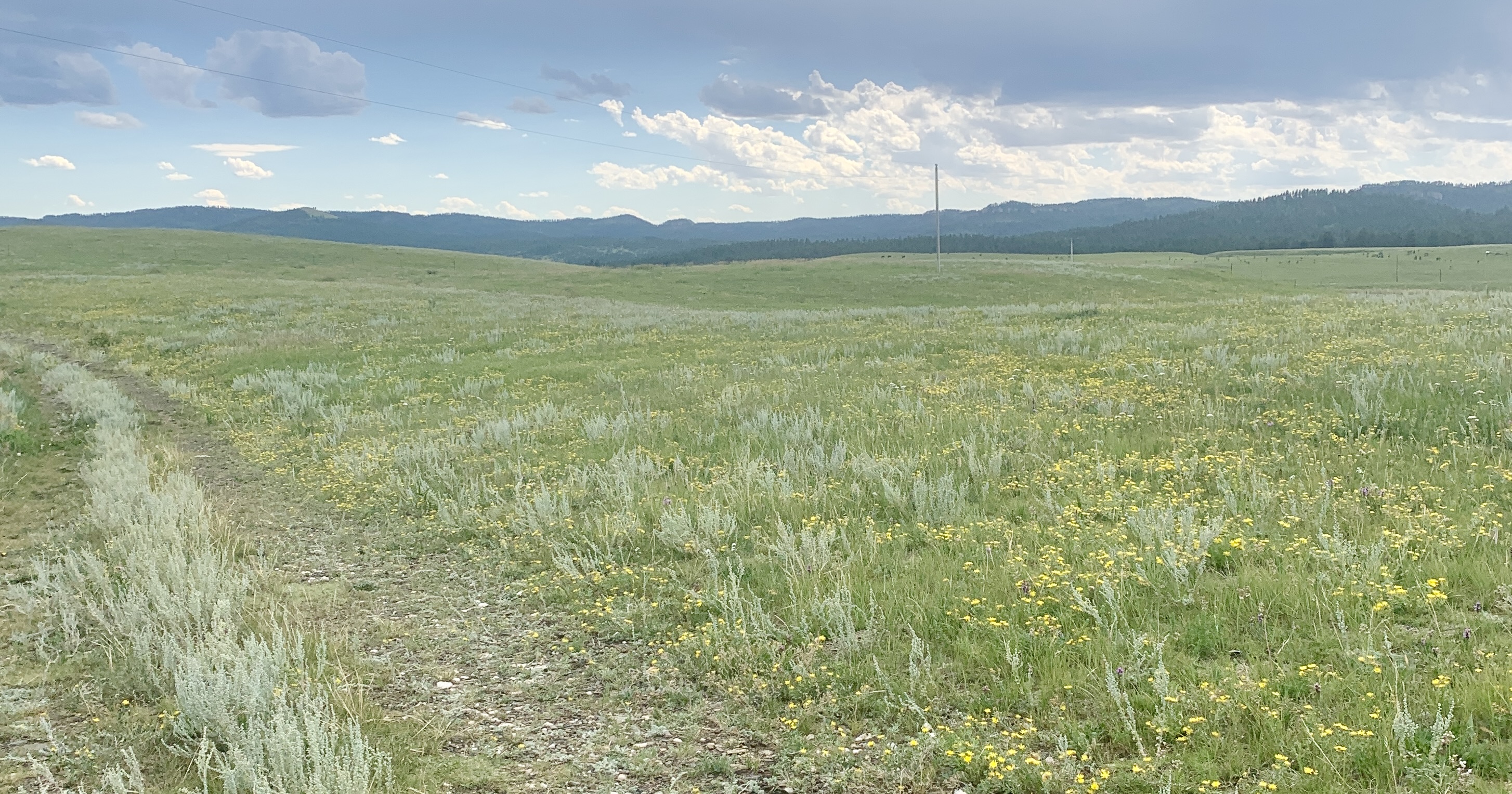 LAWSUIT FILED TO STOP GRAPHITE PROJECT AT PE’ SLA – Black Hills Clean ...